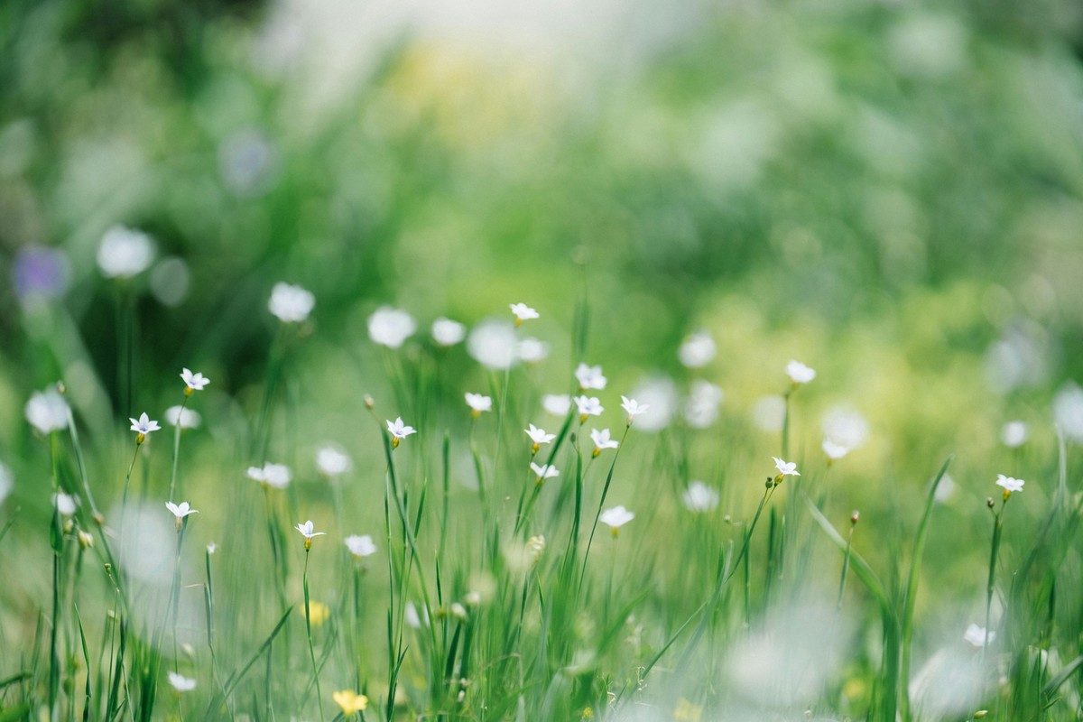 Our Services | Lisa Lowe Clinic in Arvada, CO